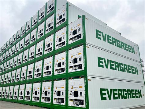Evergreen Splashes Out Over Us 222 Million On Containers And Reefer Equipment Container News