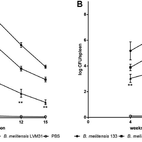 Complement Fixation Test In Brucella Diagnostic Negative Download Scientific Diagram