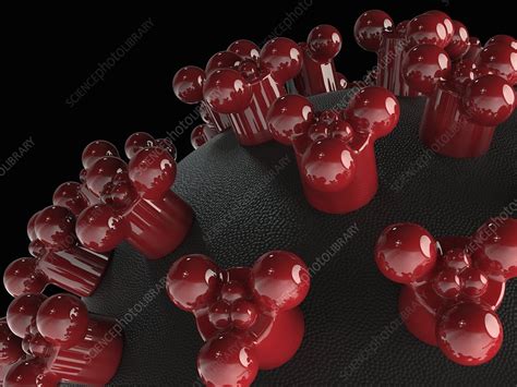 Coronavirus Capsid Detail Illustration Stock Image C0491923