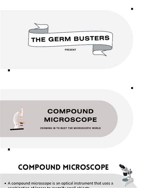 Compound Microscope Pdf Microscopy Microscope