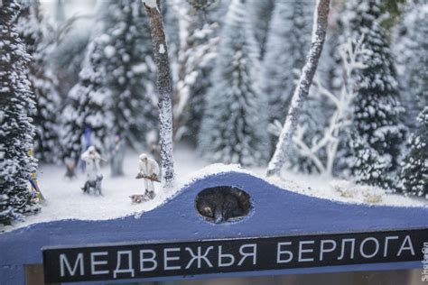 Медвежья берлога фото и картинки 64 штук