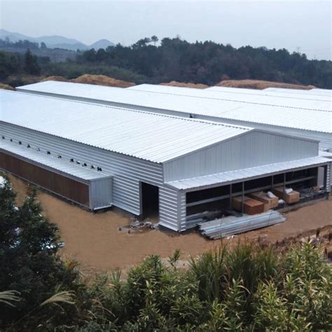 Light Steel Structure Broiler Chicken Shed Buy Light Steel Structure