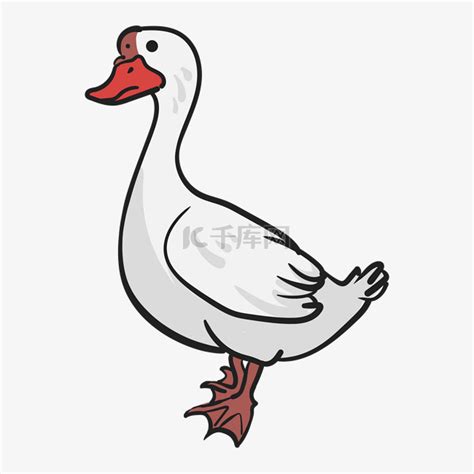 玩耍的白鹅手绘插画素材图片免费下载 千库网