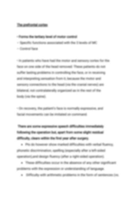 Solution The Frontal Lobe And It S Specific Functions Prefrontal