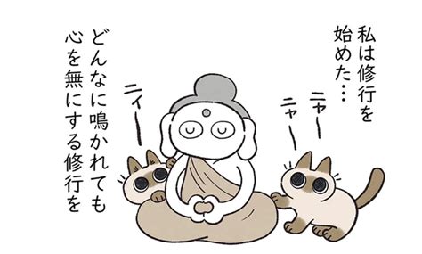 もはや修行！ 心を無にして猫の要求鳴きをしつけたい／シャム猫あずきさんは世界の中心（11）（画像15） レタスクラブ