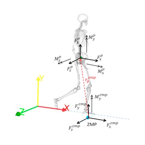 How Pressure Mapping Complements Force Measurement In Gait Analysis