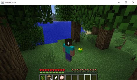 Java Skin And Minecon Cape Not Showing In Older Versions Of The Game