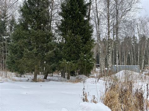 Земли сельхозназначения Московская область Дмитровский городской округ рабочий посёлок