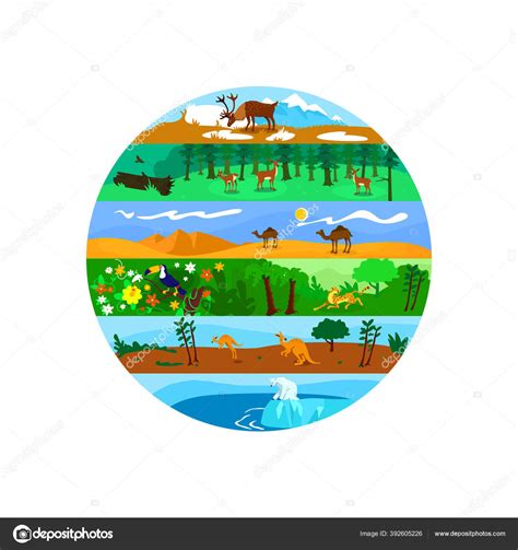 Dibujo Del Ecosistema Terrestre