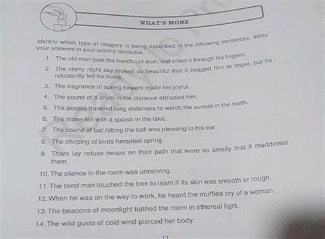 WHATS MORE Identify Which Type Of Imagery Is StudyX
