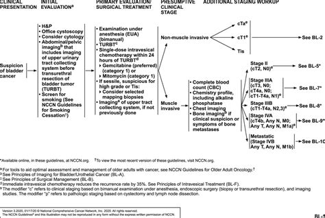 Bladder Cancer Version 3 2020 Nccn Clinical Practice Guidelines In Oncology In Journal Of The