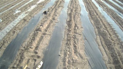 Land Instance Segmentation Dataset And Pre Trained Model By Agspace