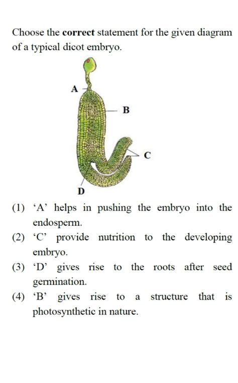 Question Choose The Correct Statement For The Given Diagram Of A Typical