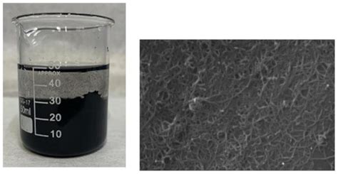 一种碳纳米管导电浆料分离试剂及其制备方法和应用、应用方法与流程
