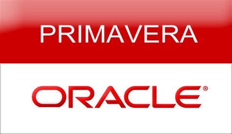 Buying Oracle Primavera P6 Psgincs