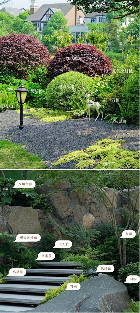 2022花境植物组团配置带名称园林景观铺装材料植物配置方案实景图 花瓣网