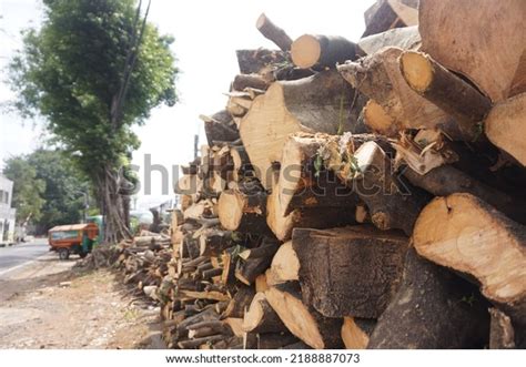 18 Cutt Down Trees Images Stock Photos Vectors Shutterstock
