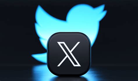 Exploring Xs Algorithm Updates And Why You Should Embrace X Digital 24