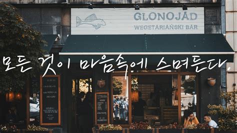 ☕ 커피향 가득한 가을커피 한 잔과 즐기는 클래식 피아노 🎹 Youtube