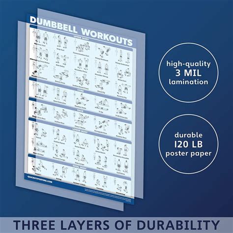 Dumbbell Workout Exercise Poster Home Gym Chart Laminated Large Poster