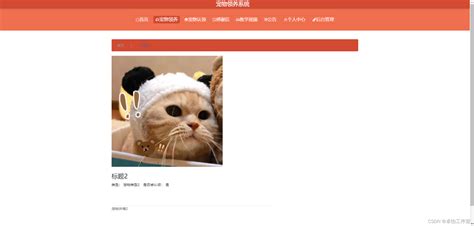 【计算机毕业设计】138宠物领养系统的设计与实现 sql的宠物系统的好处 csdn博客