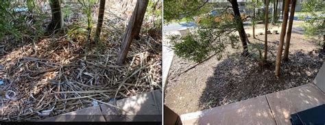 Commercial Professional Tree Trimming Services Melbourne