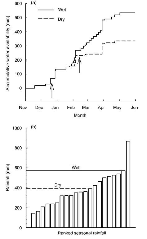 A Accumulative Water Availability Mm For Irrigated Wet And Not Download Scientific