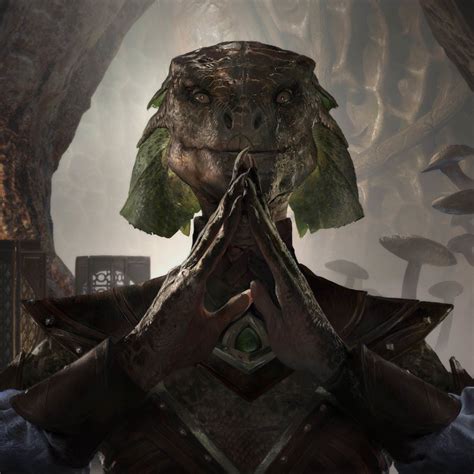 65 Argonian Ideas Elder Scrolls Art Elder Scrolls Elder Scrolls Skyrim
