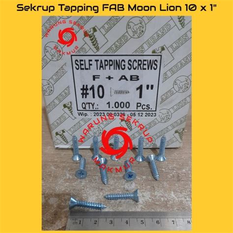 Jual 50 Pcs Sekrup Fab 10x1 Skrup Tapping Kepala Rata 25cm