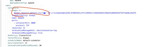 通过自己制作的s2i镜像tomcat S2i 生成的deployments文件仓库地址不正确 · Issue 960 · Openshift