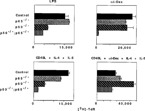 Figure 1 From The P65 Subunit Of Nf Kappa B Is Redundant With P50