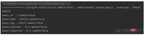 怎么使用springboot canal实现数据库实时监控 java教程 php中文网