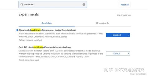 使用webrtc实现多人视频会议 知乎