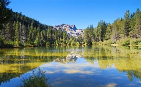 Lakes Gold Lake Sierra City Traveller Reviews Tripadvisor