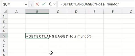 A To Z Of Excel Functions The DETECTLANGUAGE Function