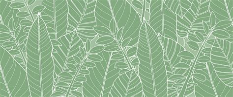 나뭇잎과 나뭇가지가 있는 녹색 열대 배경 장식 월페이퍼 엽서 및 프리젠테이션을 위한 섬세한 식물 배경 녹색 배경에 대한 스톡 벡터 아트 및 기타 이미지 Istock