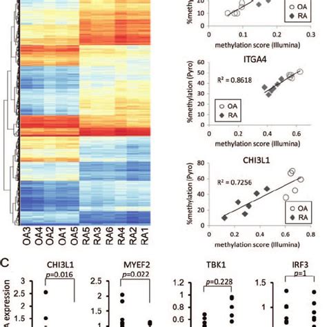 Hierarchical Clustering And Heatmap Of Differentially Methylated Dm