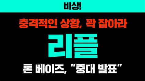 비상충격적인 상황 꽉 잡아라 리플 톤 베이즈 중대 발표리플급등 리플코인급등 Youtube