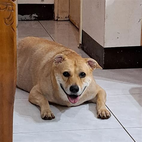 米瑜 Mimiyu 0817 • Instagram Photos And Videos