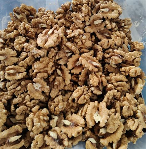 Top Quality Extra Light China Yunnan Xinjiang 185 Xin2 Walnut Kernels Walnut Kernel And Walnut