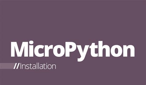 Micropython Installationsanleitung Brickobotik