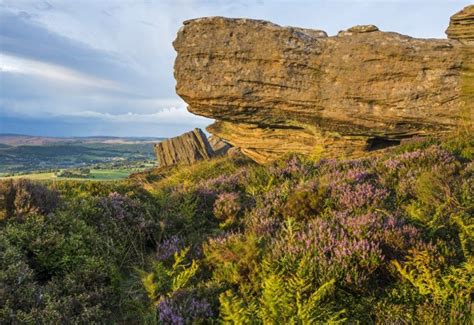 Simonside Hills • Northumberland National Park
