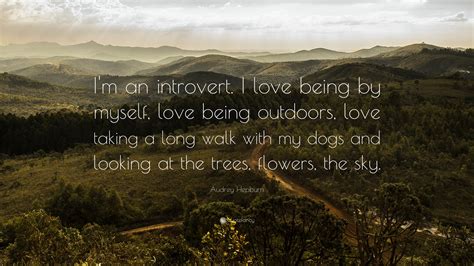 Introversion The Constant Pilgrim