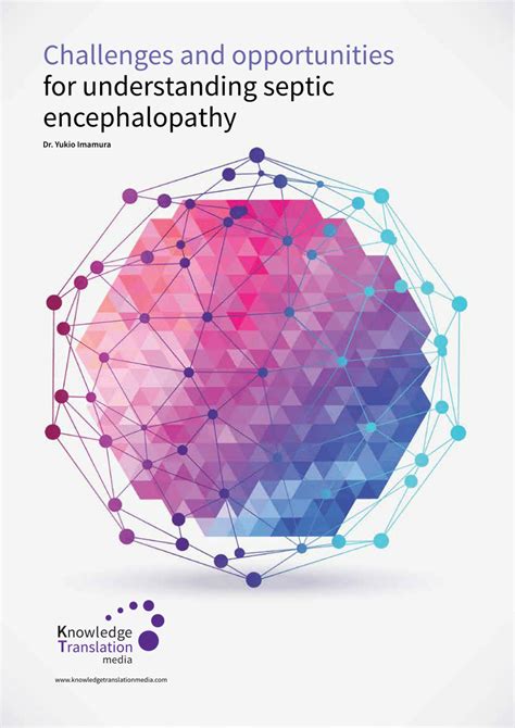 Pdf Challenges And Opportunities For Understanding Septic Encephalopathy