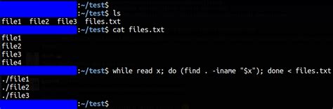 Php Imagick Commandline Flip Image Stack Overflow