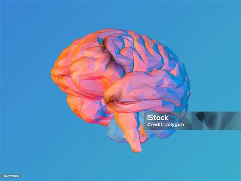 파란색 Bg에 다각형 뇌 하단 관점 그림 시점에 대한 스톡 벡터 아트 및 기타 이미지 시점 3차원 형태 Mental Wellbeing Istock