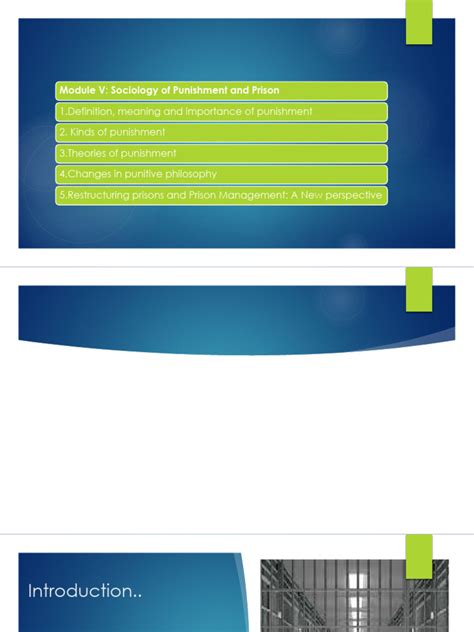 Module V Pdf Punishments Crimes