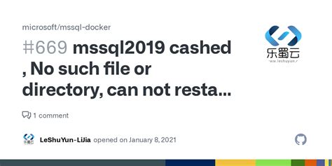 Mssql2019 Cashed No Such File Or Directory Can Not Restart Docker
