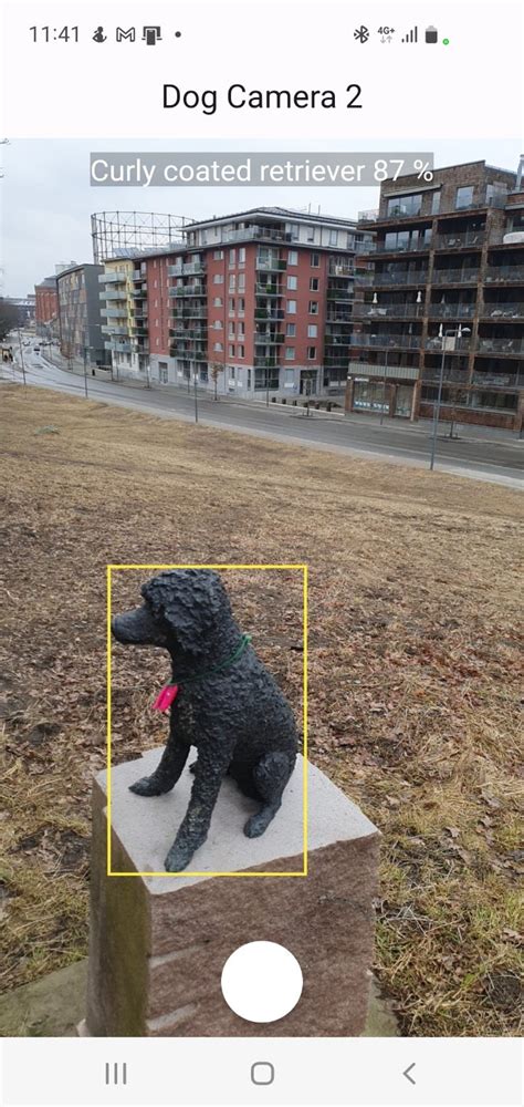 Flutter Camerax And Mediapipe