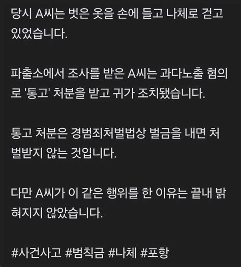 나체로 길거리 돌아다닌 여자 촬스의 이슈와 유머